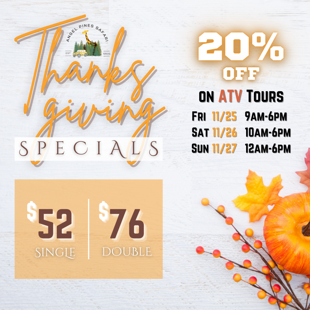 ATV Thanksgiving Specials – Angel Pines Safari